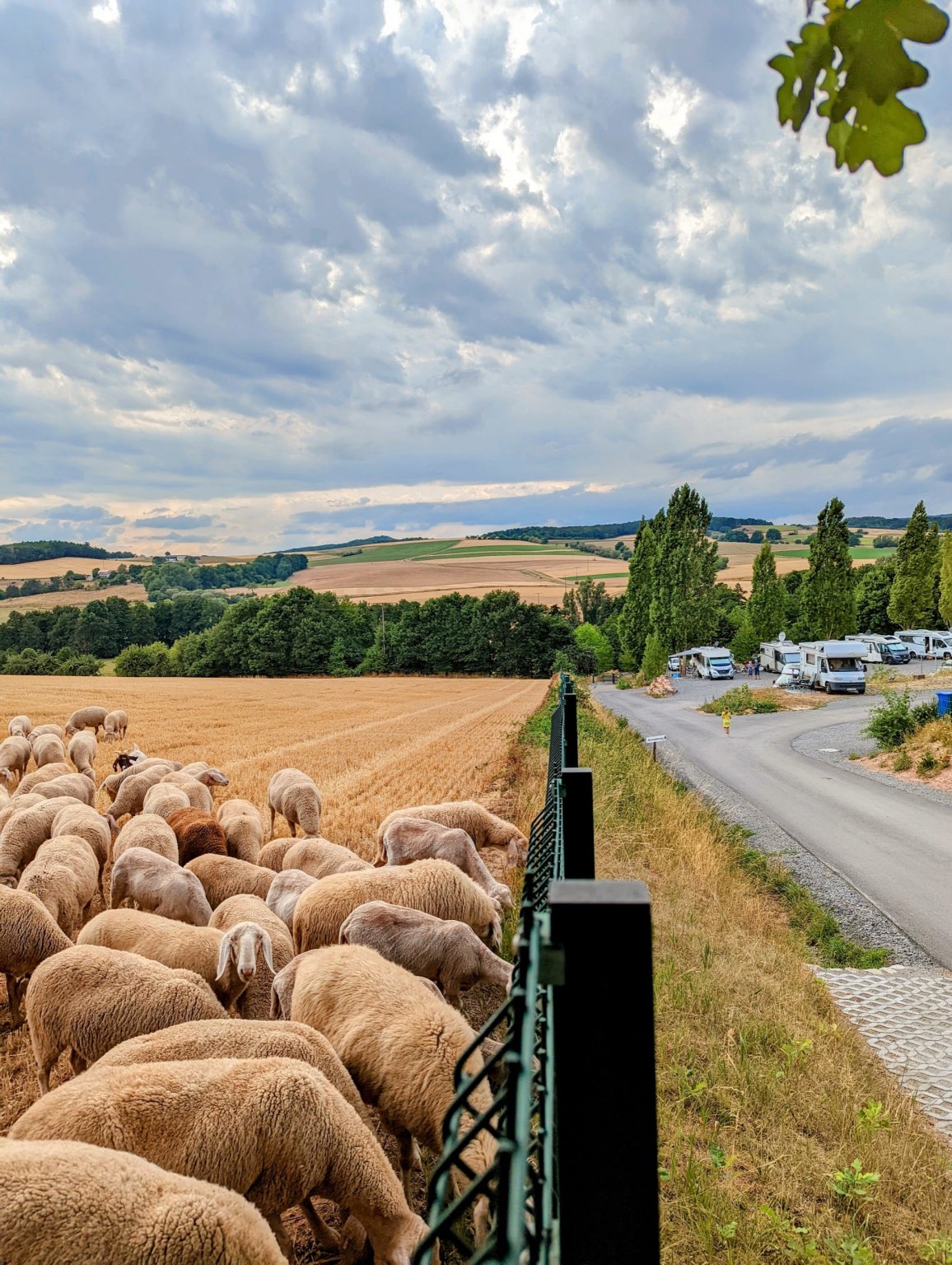 Galerie - Naturcamp Thulba
